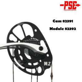 PSE Module M2