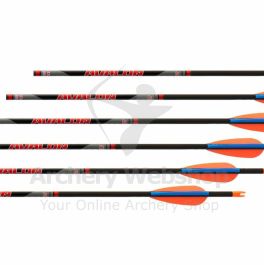 Avalon Carbon Fiber Arrows Tyro 4.2
